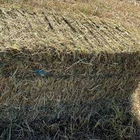 Western Ranch Supply