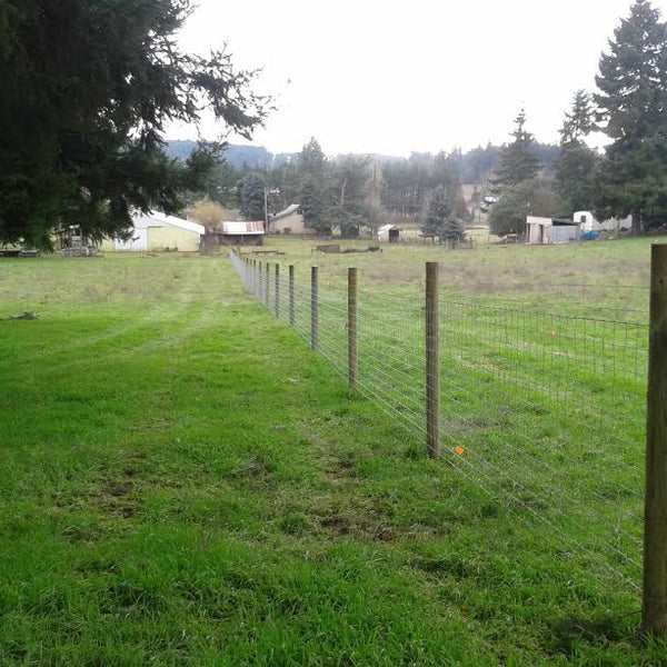 Goat Fence Installation Max Tight High Tensile Sheep & Goat